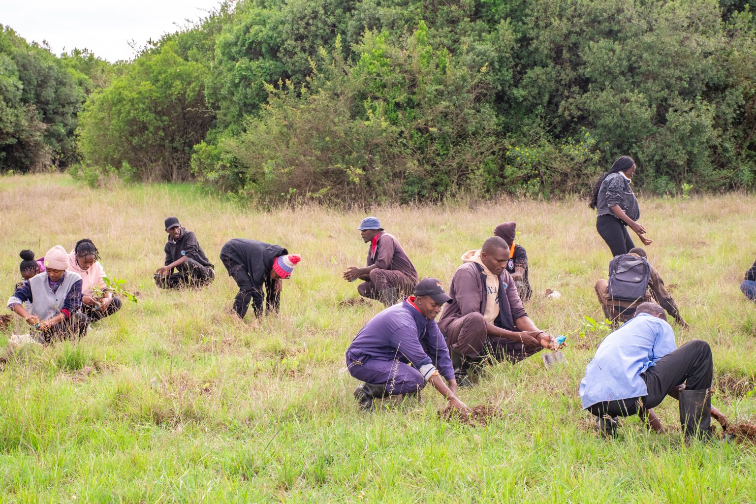 NYEWASCO Celebrates Earth Day with 6,000 Indigenous Trees - Nyeri Water ...