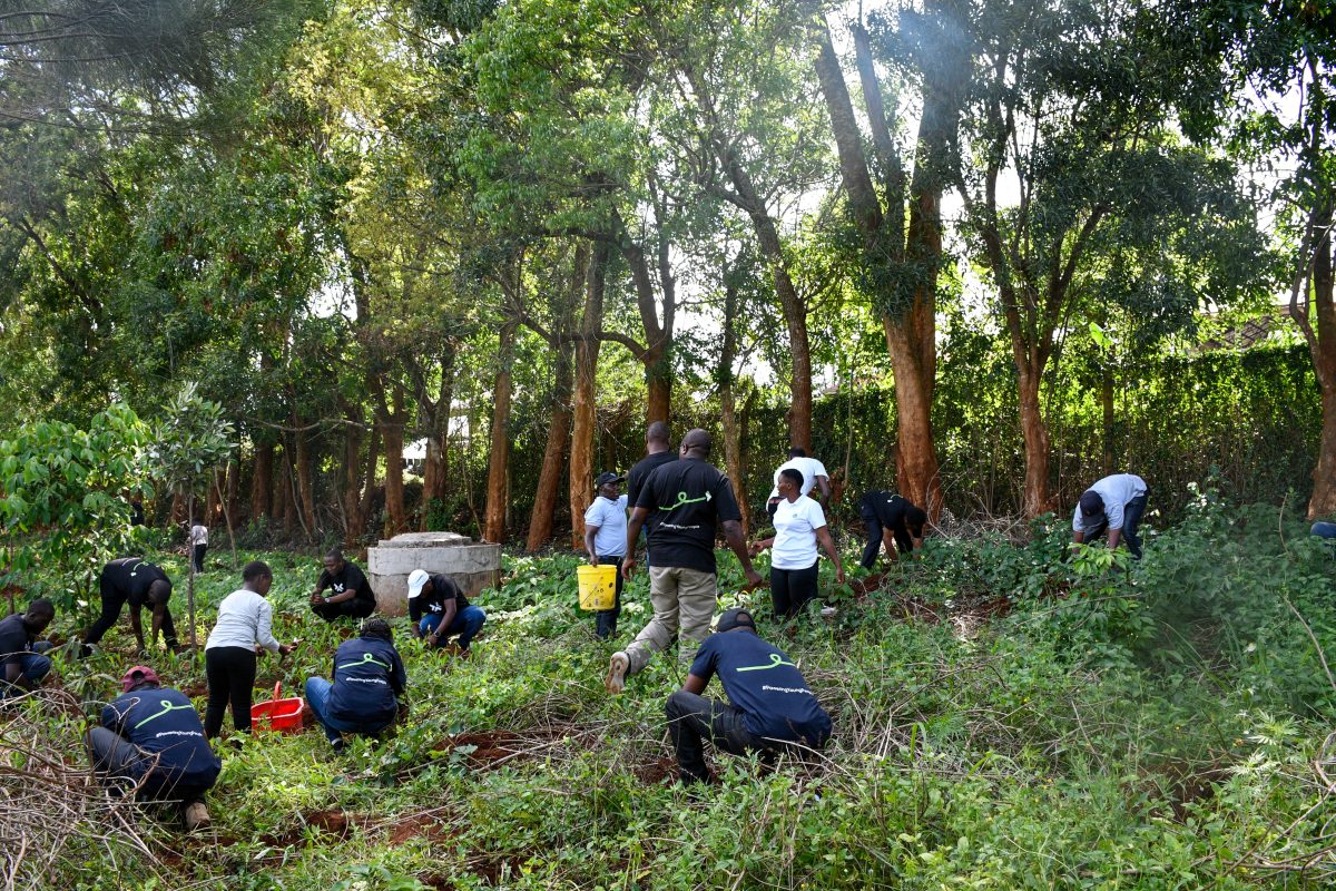 NYEWASCO APP - Nyeri Water and Sanitation Company Limited (NYEWASCO)